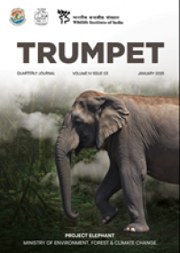 Trumpet – Quarterly Magazine | Wildlife Institute of India, an ...