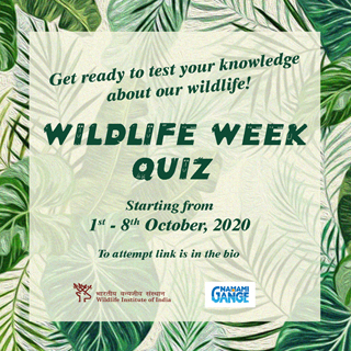 Wildlife Week 2020 | Wildlife Institute of India, an Autonomous ...