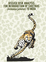 Disease Risk Analysis for Introduction of Cheetahs (Acinonyx jubatus ...