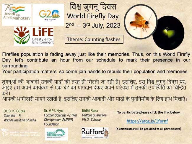World Firefly Day 2-3 July 2023 | Wildlife Institute of India, an ...