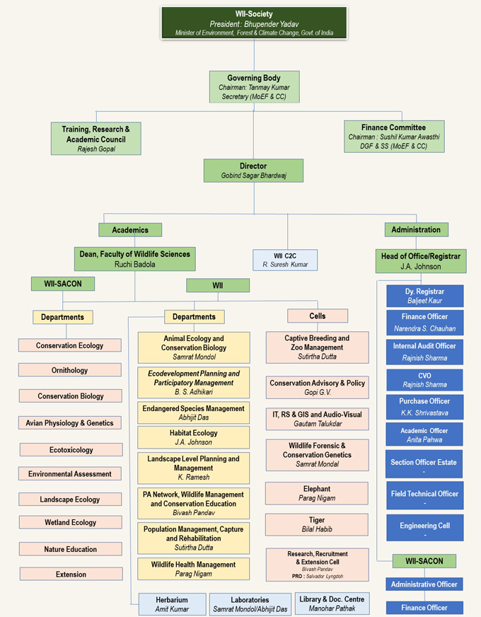Organisation Chart | Wildlife Institute of India, an Autonomous ...