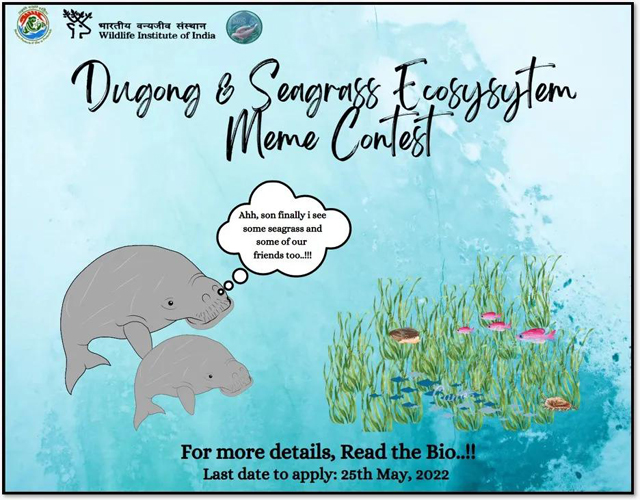 Dugong and Seagrass ecosystem meme Contest on the occasion of World ...