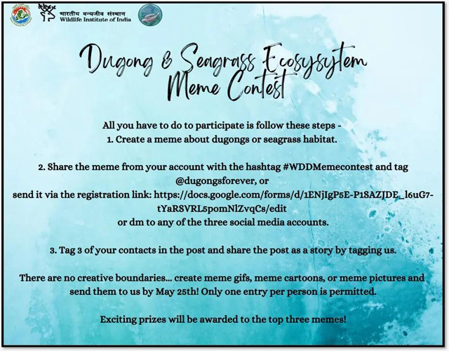 Dugong and Seagrass ecosystem meme Contest on the occasion of World ...