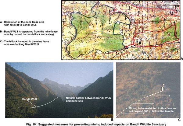 Mitigation of impacts on Bandli Wildlife Sanctuary | Wildlife Institute ...