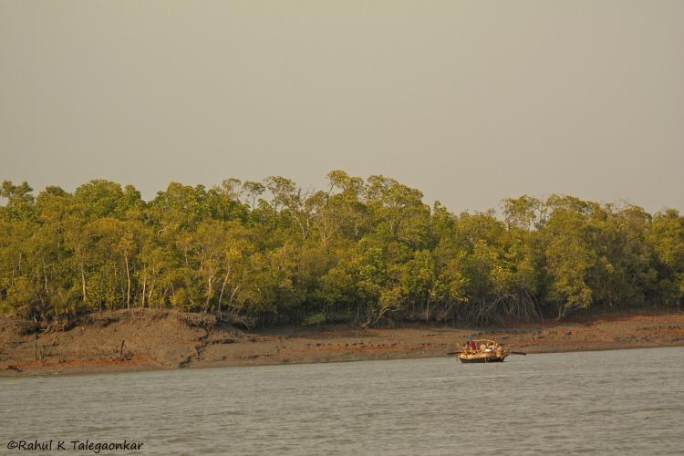 WHS : Photo Gallery | Wildlife Institute of India, an Autonomous ...